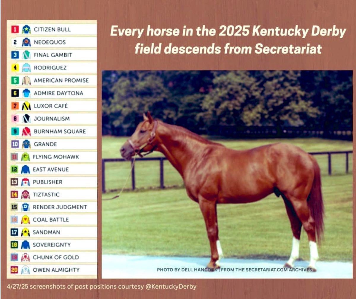 Every 2025 Kentucky Derby Horse Descends From Secretariat, 1973 Triple ...