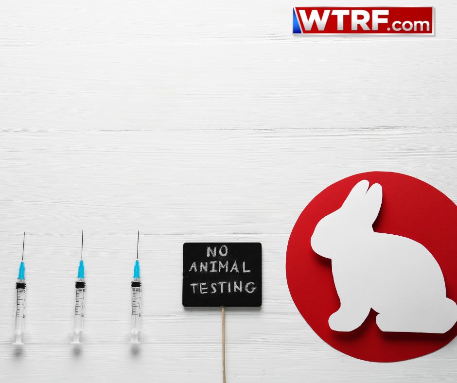 FDA Moves Away From Animal Testing, Citing 90% Failure Rate; Supports ...