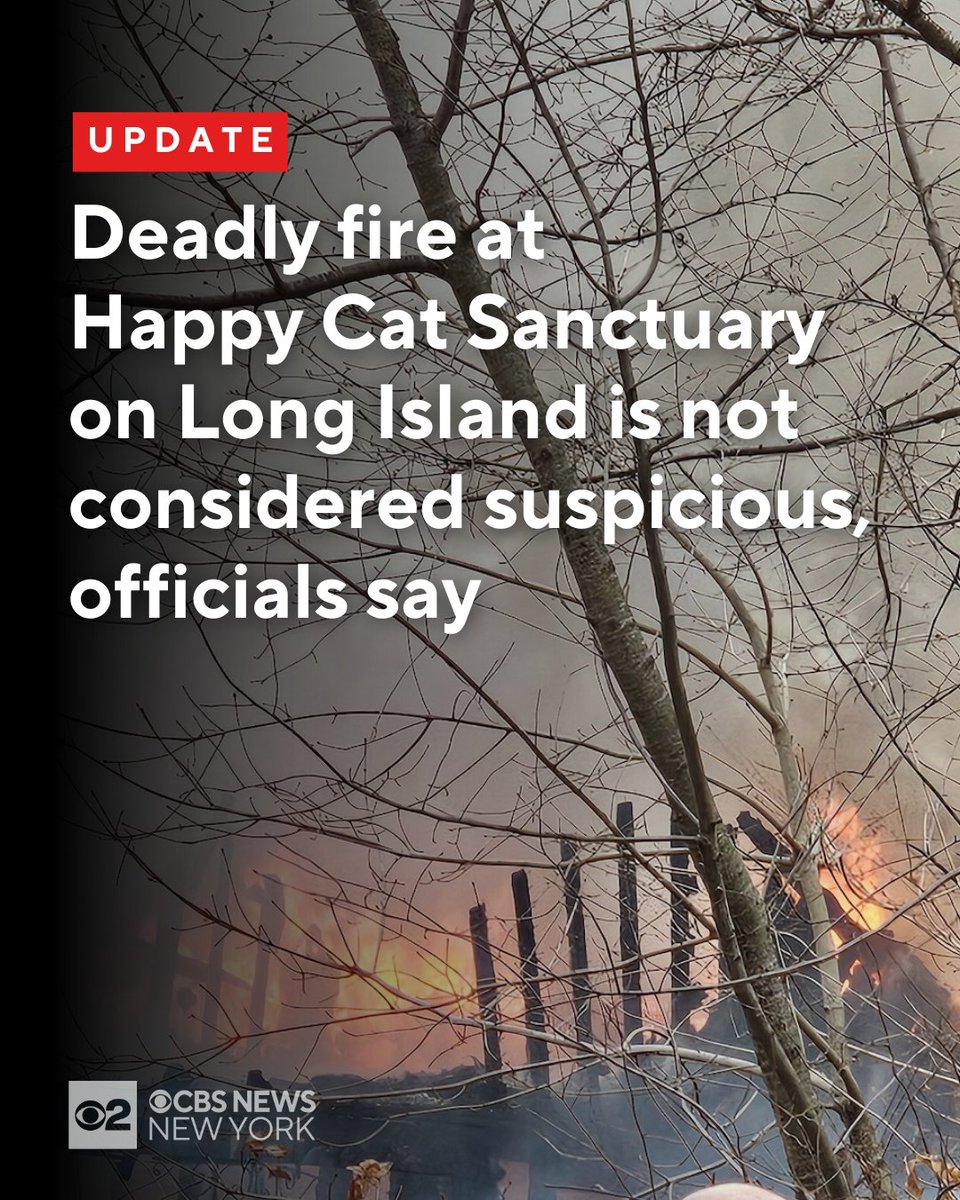 Fire at Happy Cat Sanctuary in Long Island Kills Founder and Nearly 100 ...