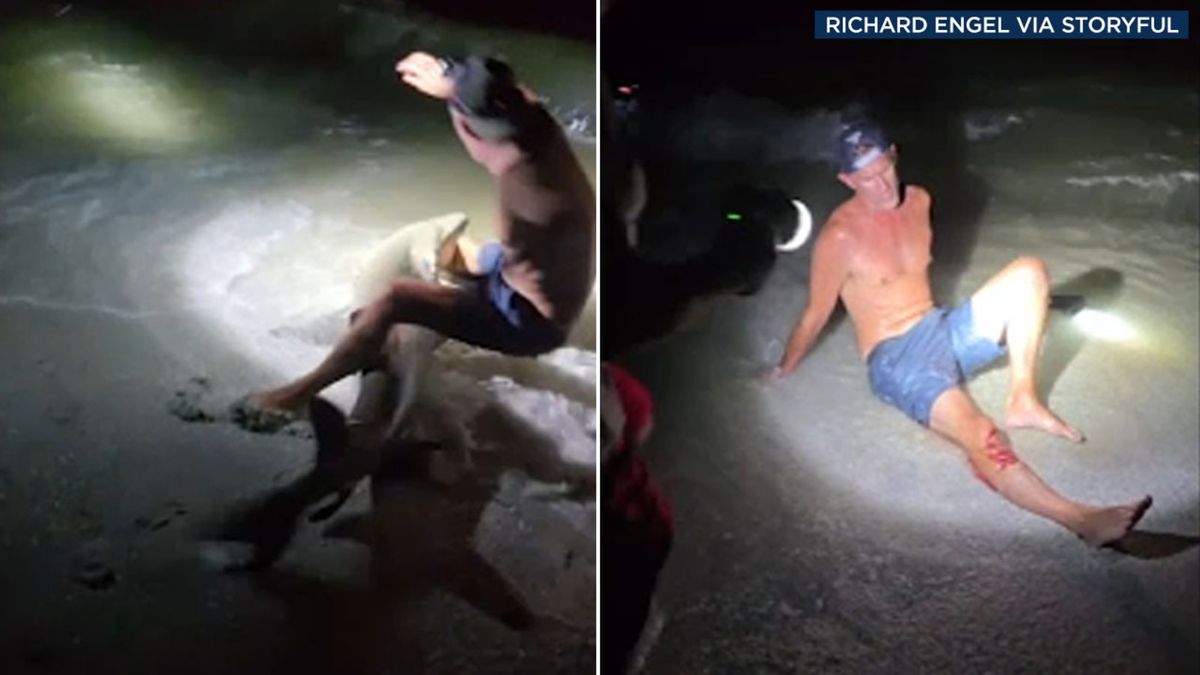 Fisherman Shawn Meuse Bitten by Six-Foot Lemon Shark During Catch-and ...