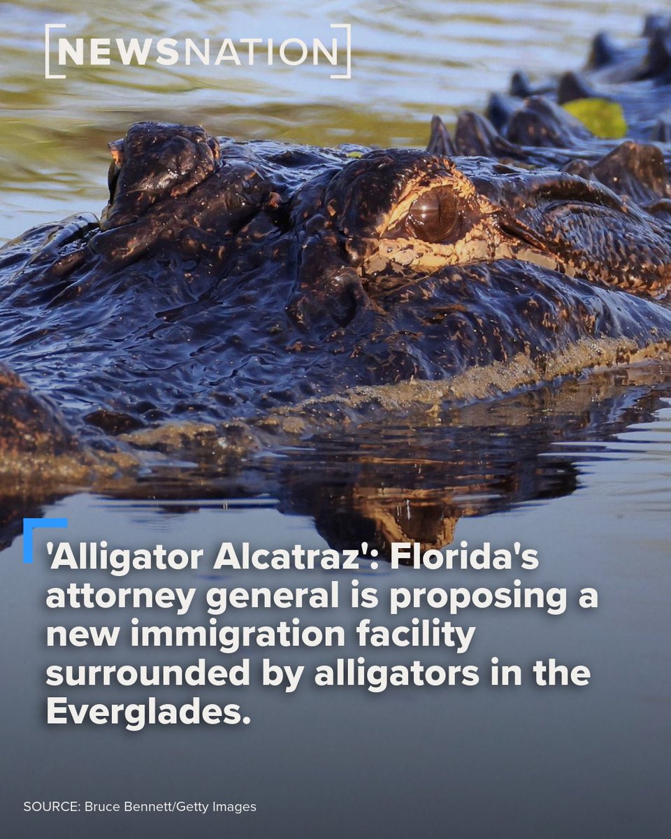 Florida AG Pushes ‘Alligator Alcatraz’ Migrant Jail in Everglades ...