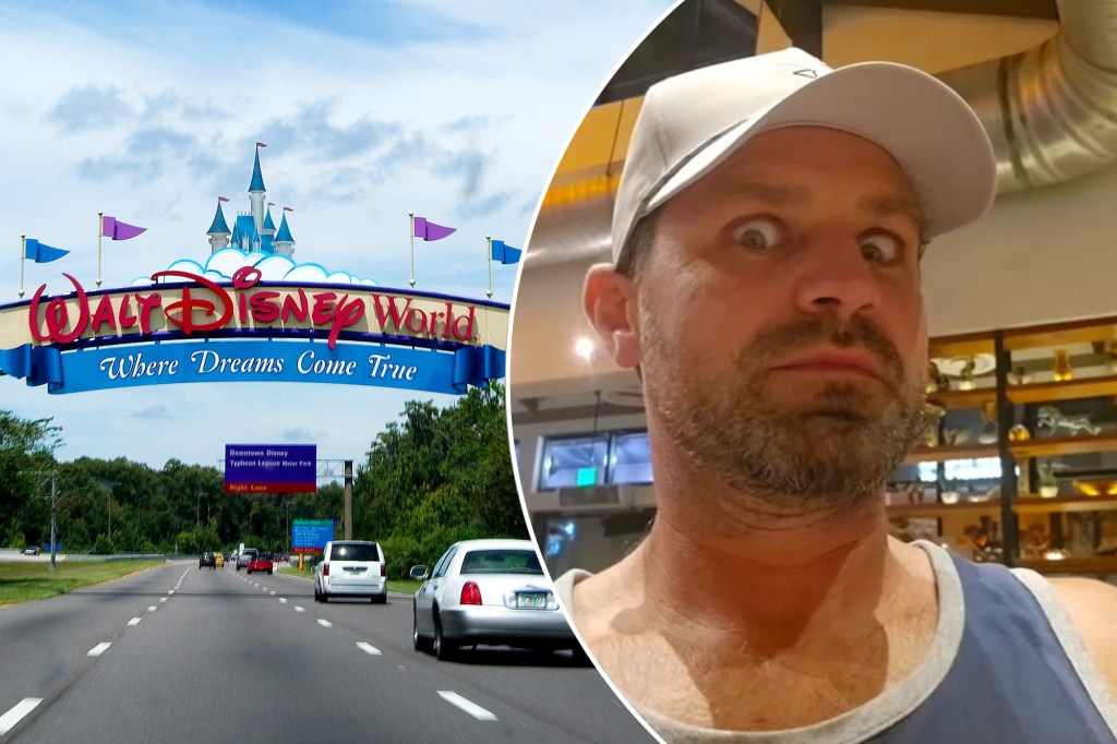 Florida Dad Spends $1,391 on One-Day Disney World Trip Amid Surge ...