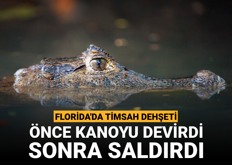 Florida Woman Killed by More Than 3-Meter Alligator After Canoe ...