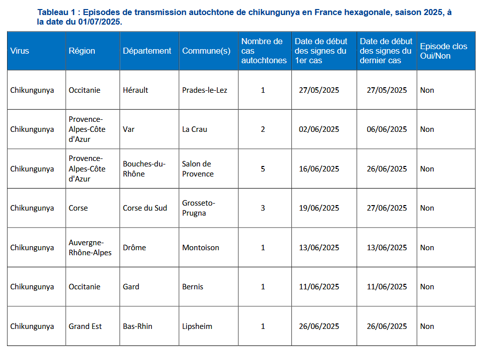 France Sees 30 Indigenous Chikungunya Cases, 47 Lumpy Skin Disease ...