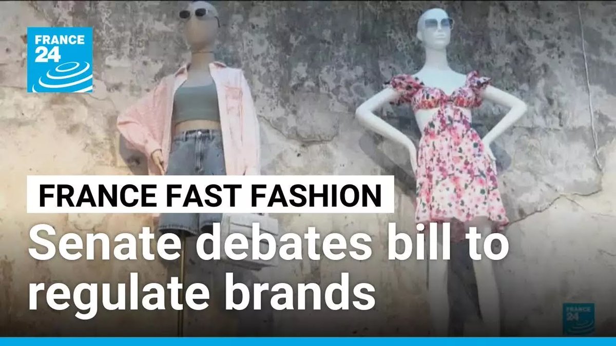 French Senate Debates Fast-Fashion Bill Targeting Shein, Temu; Vote Set ...