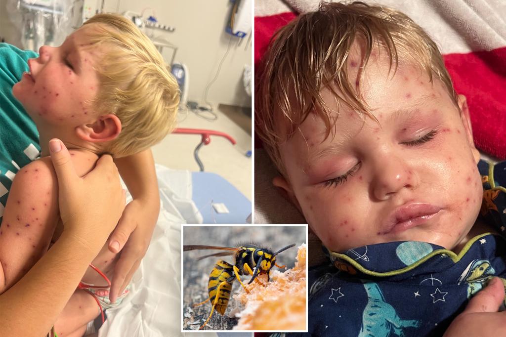 Georgia Toddler Beckham Reed on Life Support After Over 150 ...