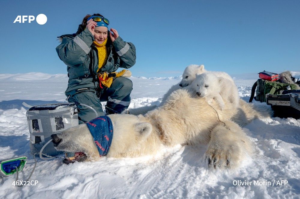 Global Warming Accelerates With Amazon Dieback Risk, Svalbard Polar ...