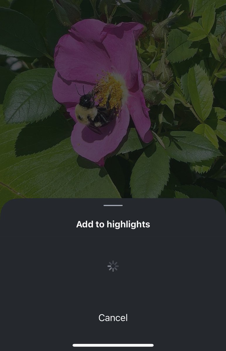 Google Recommends Update as Instagram Fixes Android Battery Drain and ...