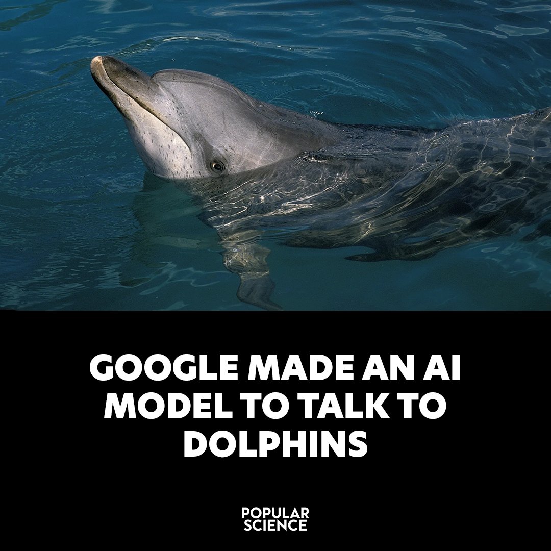Google's DolphinGemma AI Model, with 400M Parameters, Aims to Decode ...