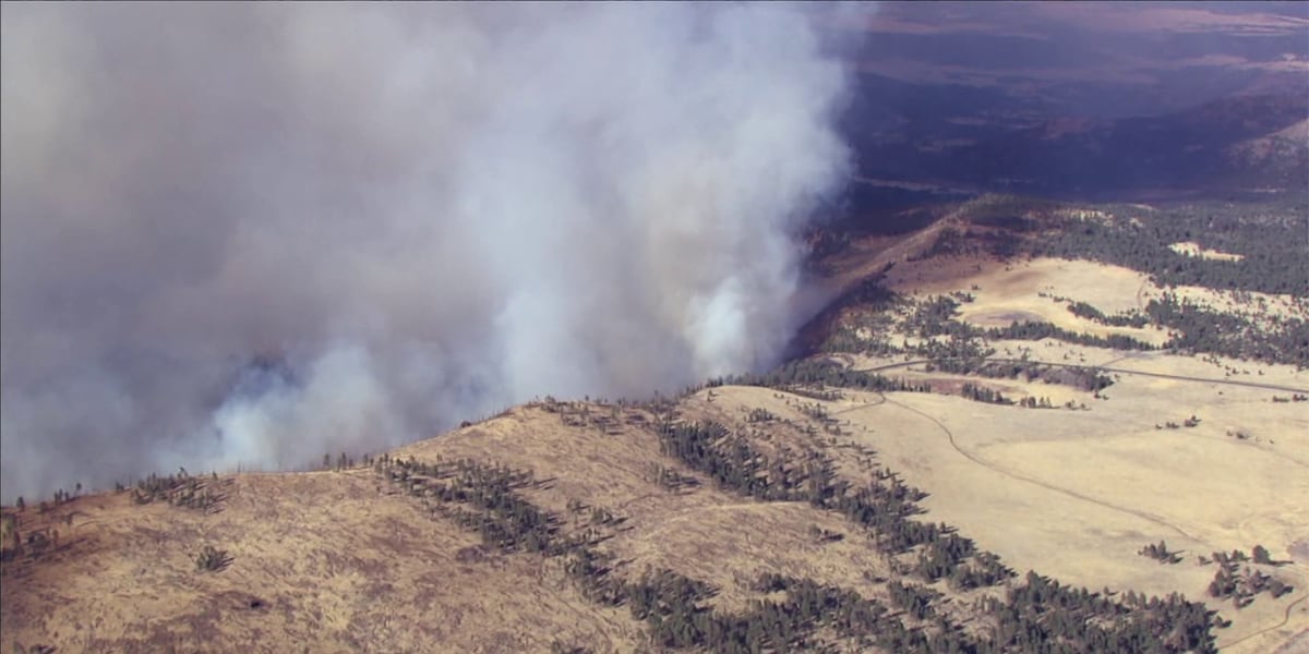 Greer Fire in Arizona Grows to Nearly 16,000 Acres with Zero ...