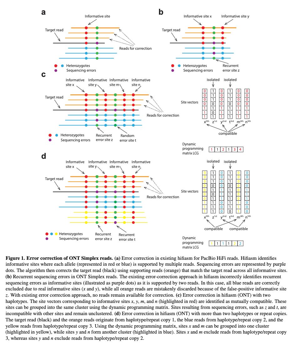 Hifiasm (ONT) Algorithm Enables Near Telomere-to-Telomere Assembly with ...