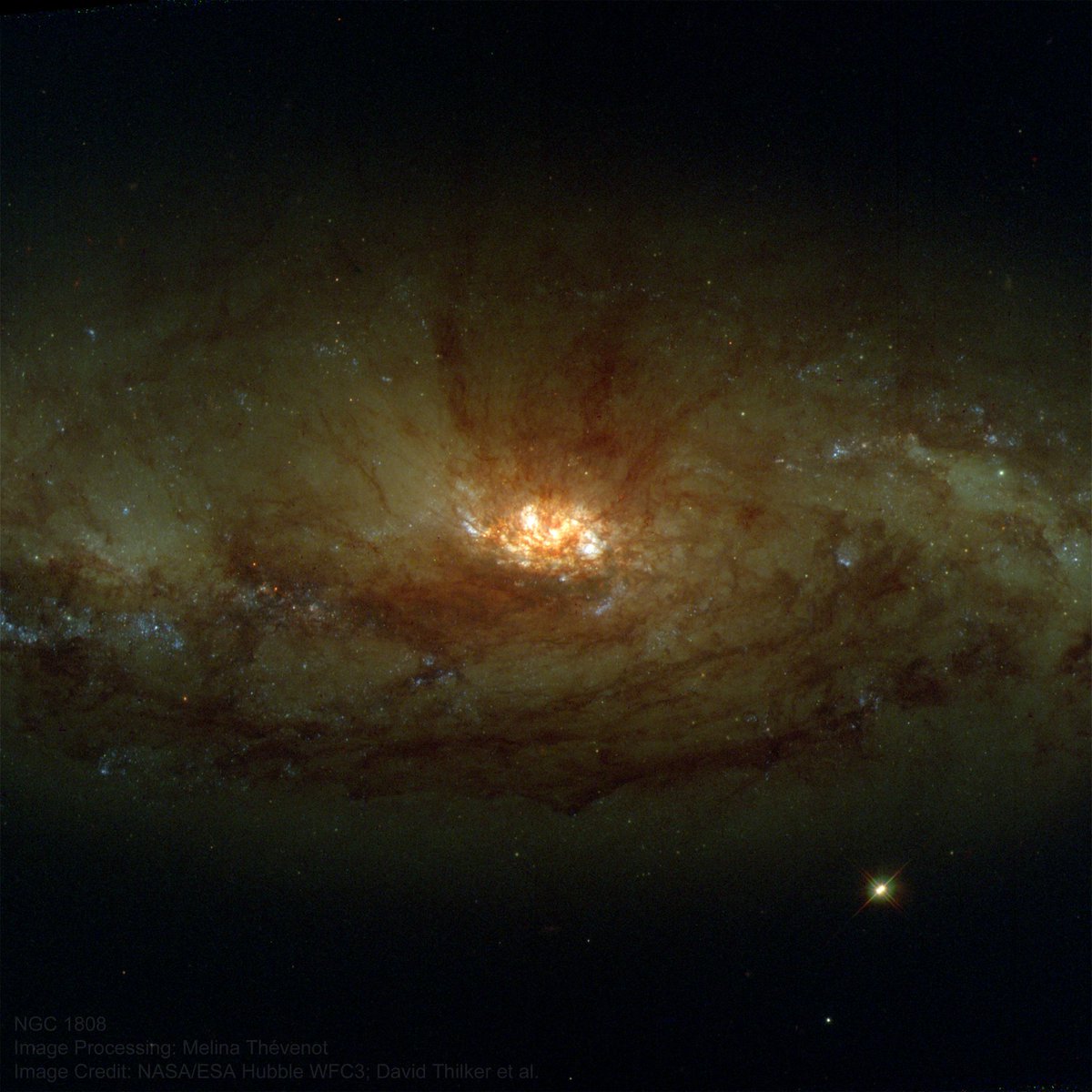 Hubble Reveals Spiral Galaxies NGC 4100, NGC 4941, IC 4709 and ...