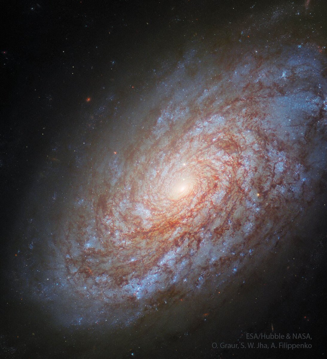 Hubble Telescope Captures Stunning Images of Star Clusters and Galaxies, Including NGC 6397 ...