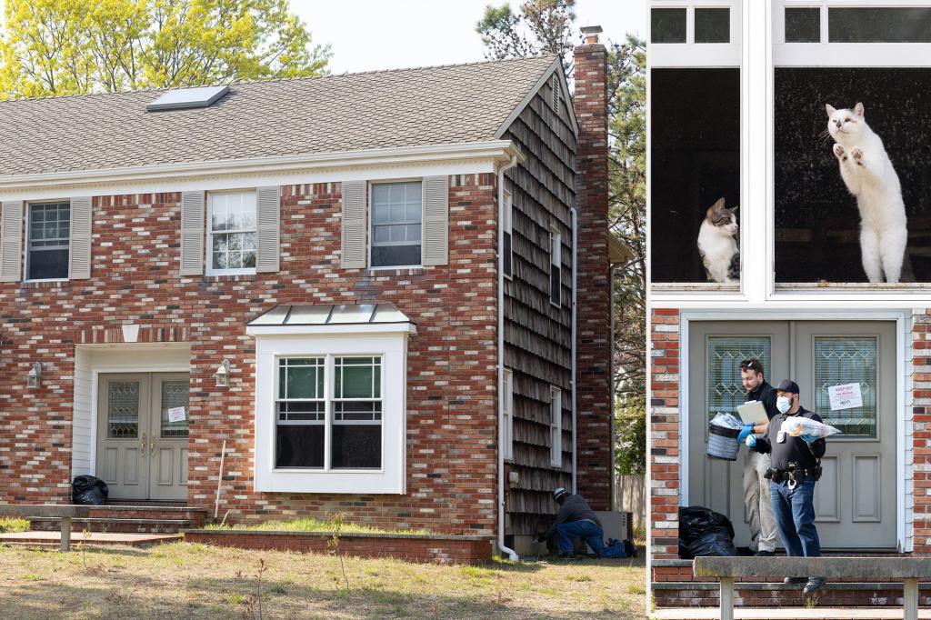 Human Remains, Decomposed Body, and 100 Dead Cats Found in Long Island ...