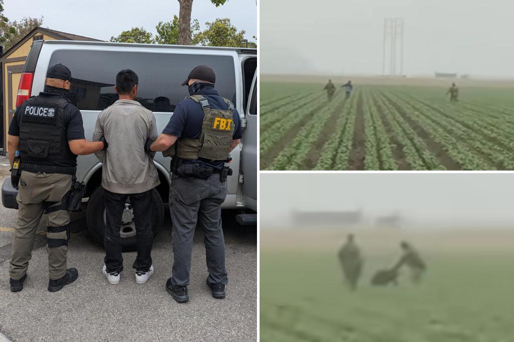 ICE Detains Over 70 in Largest Nebraska Meat Plant Raid, Expands ...