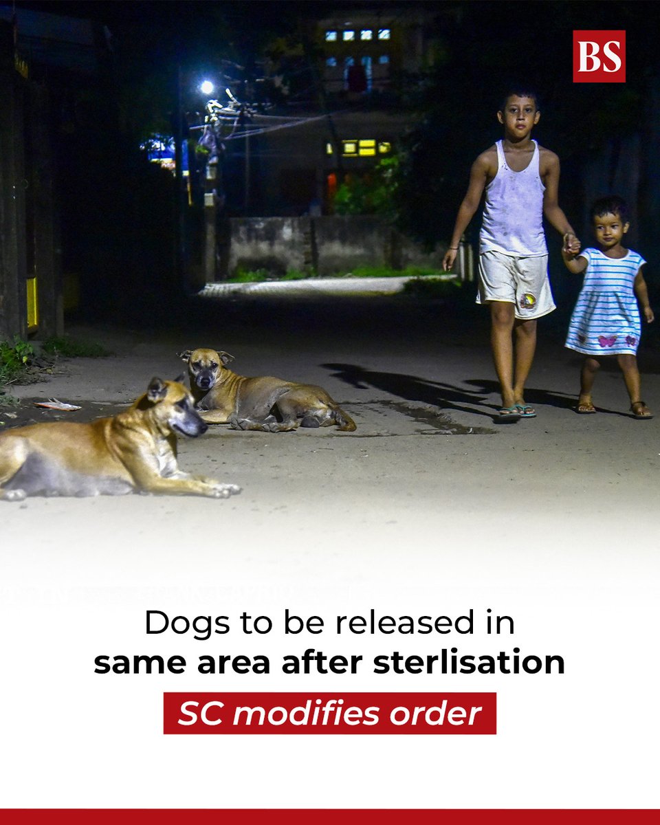 India’s Supreme Court Modifies Delhi NCR Stray Dog Order, Mandates ...