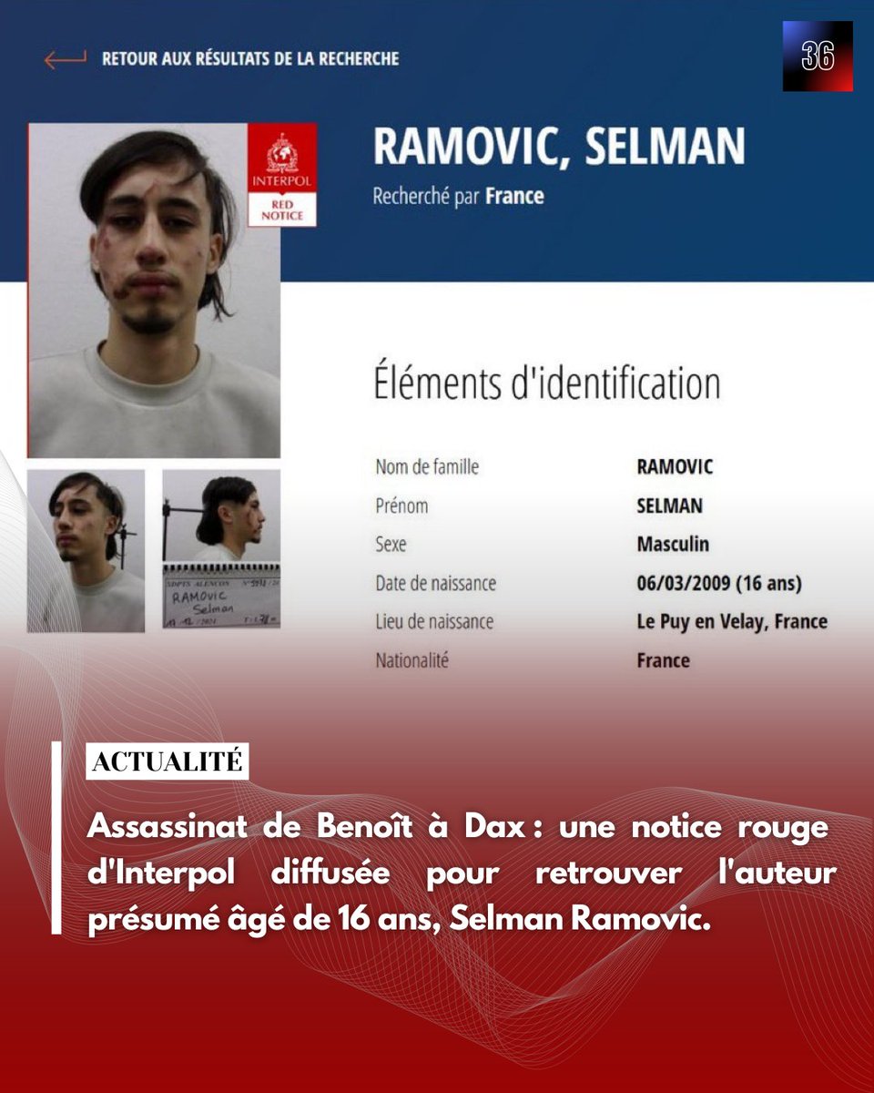 Interpol Issues Red Notice for Refugee Selman Ramovic in Fatal Stabbing ...