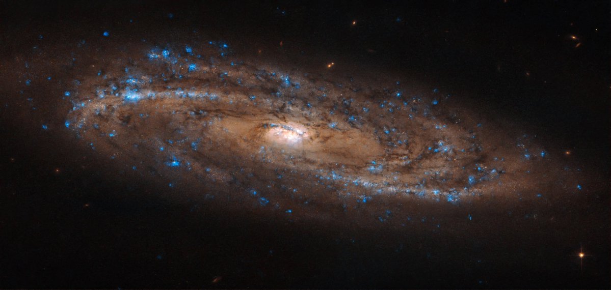 James Webb Maps 800,000 Galaxies, Captures Einstein Ring; Voyager ...