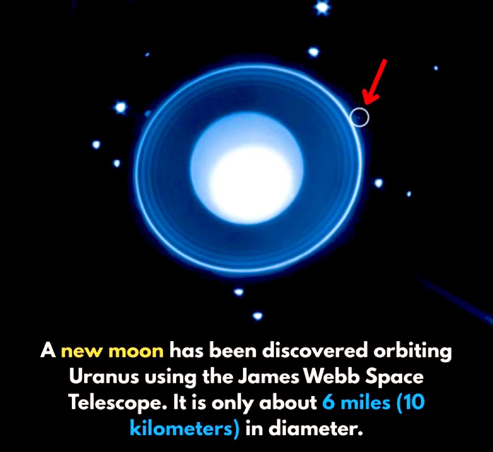 James Webb Space Telescope Discovers Six-Mile Moon S/2025 U1 Orbiting ...