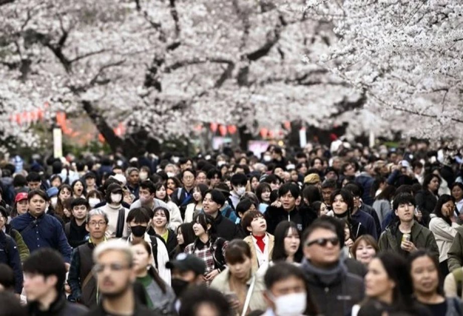 Japan's Population Drops to 123.8 Million in 2024, Marking 14th Year of ...