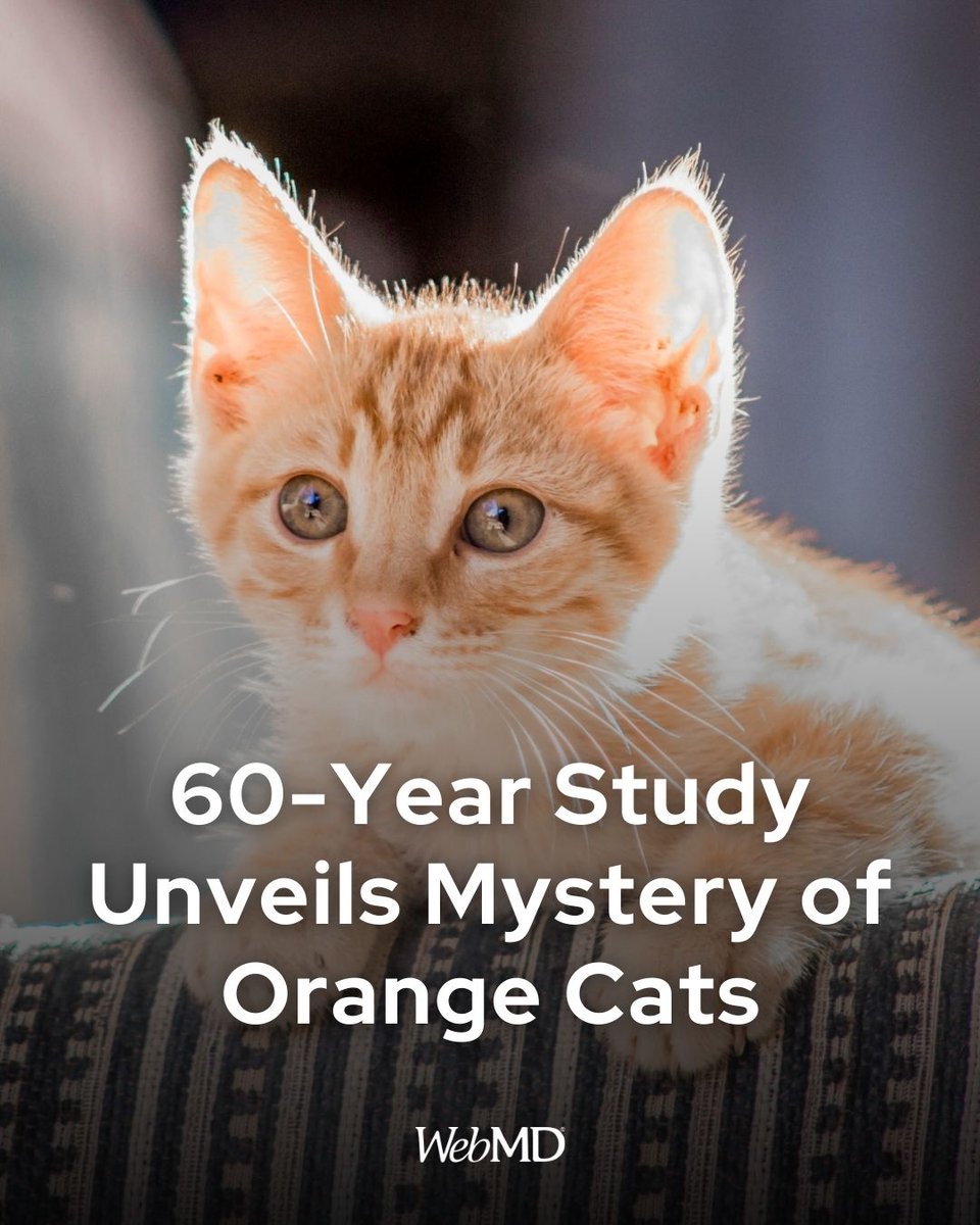 Kyushu and Stanford Universities Identify ARHGAP36 Gene Mutation Behind ...