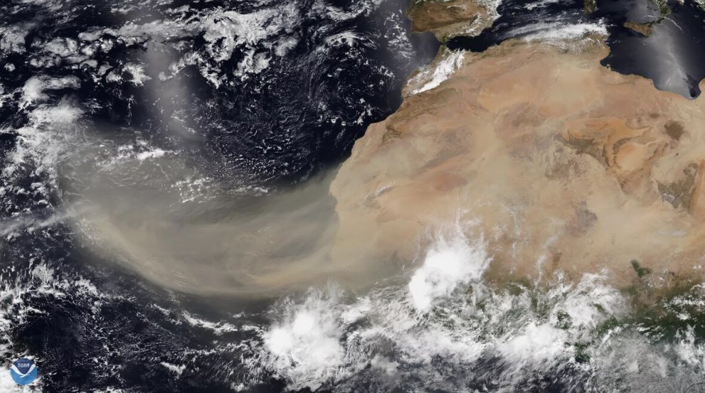 Largest 2025 Saharan Dust Cloud Hits Caribbean, Heads for Florida ...