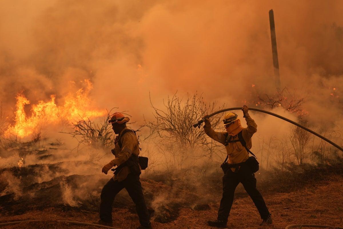Lee Fire Near Meeker Grows to 113,378 Acres with 7% Containment ...