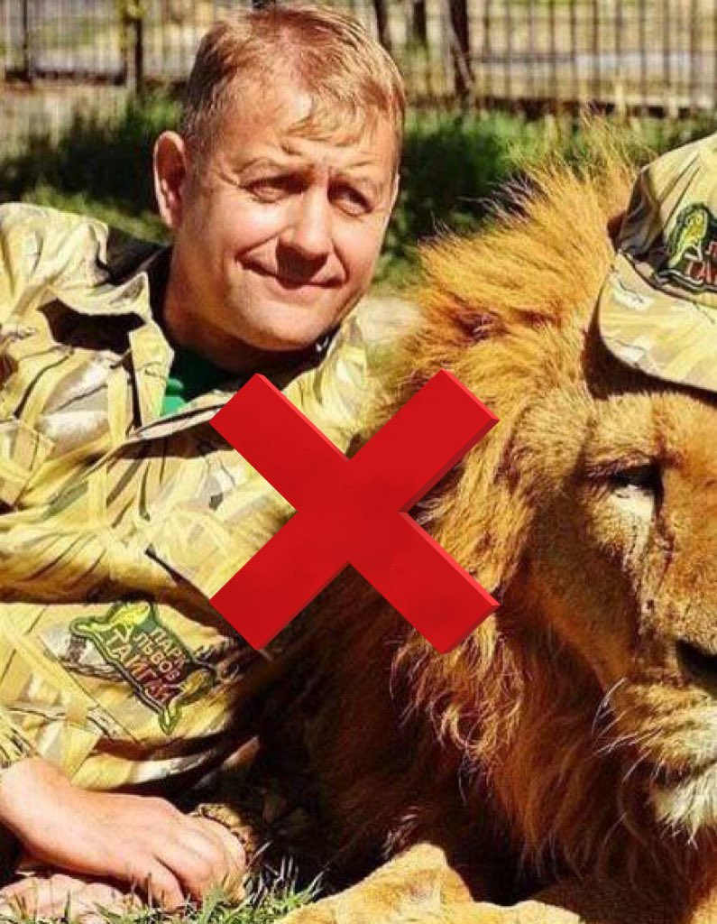 Lion Mauls Taigan Safari Park Founder Oleg Zubkov, Leaving Him Critical ...