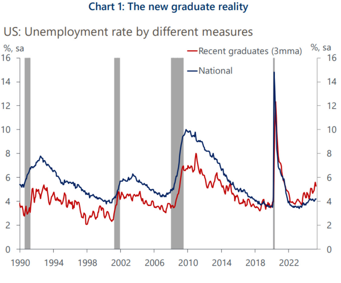 LISEP: U.S. Functional Unemployment (TRU) Hits 24.4%, Disparities ...