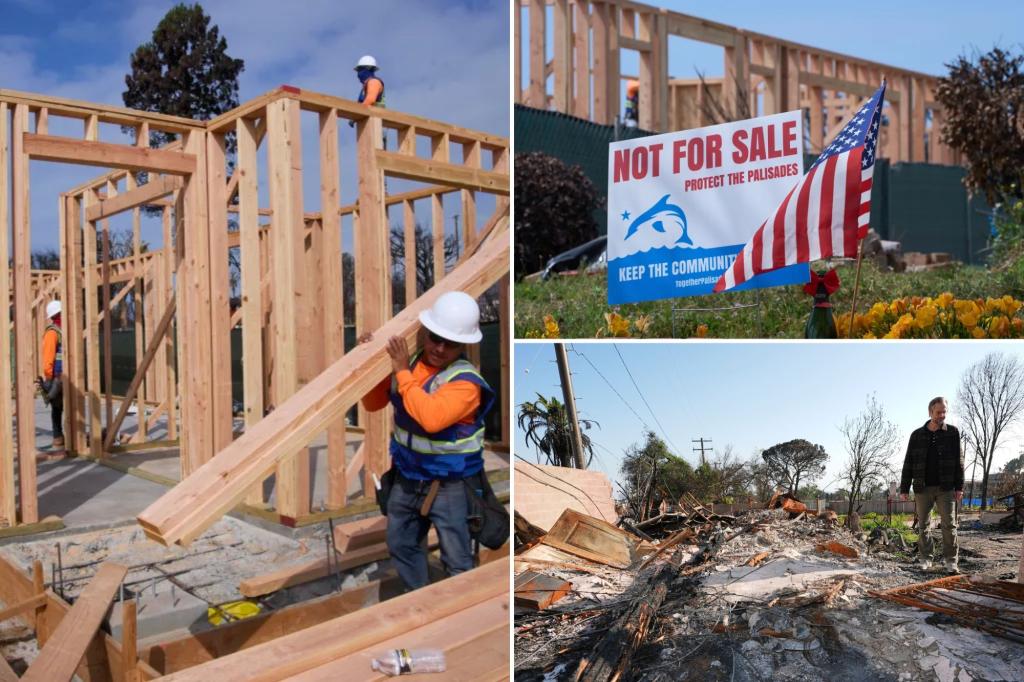 Los Angeles Pacific Palisades Residents Begin Rebuilding After January 2025 Wildfires Amid 37% ...