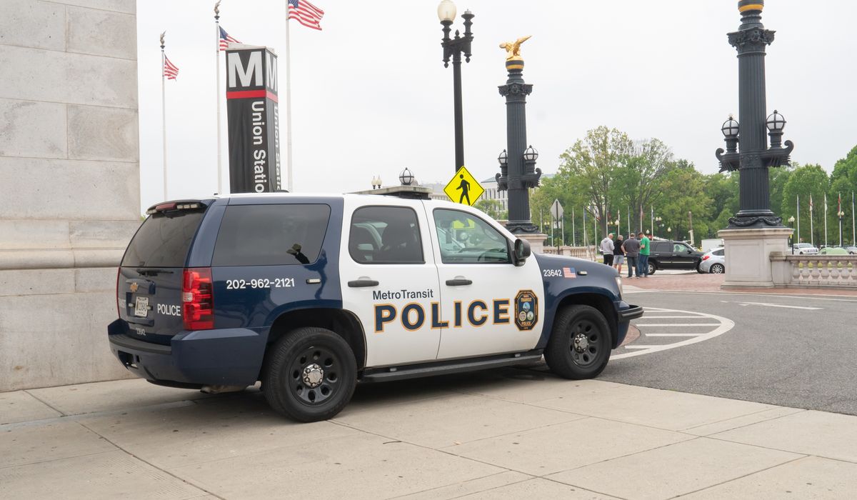 Man Charged With Stabbing Metro Transit Sergeant Over Fare Evasion at ...