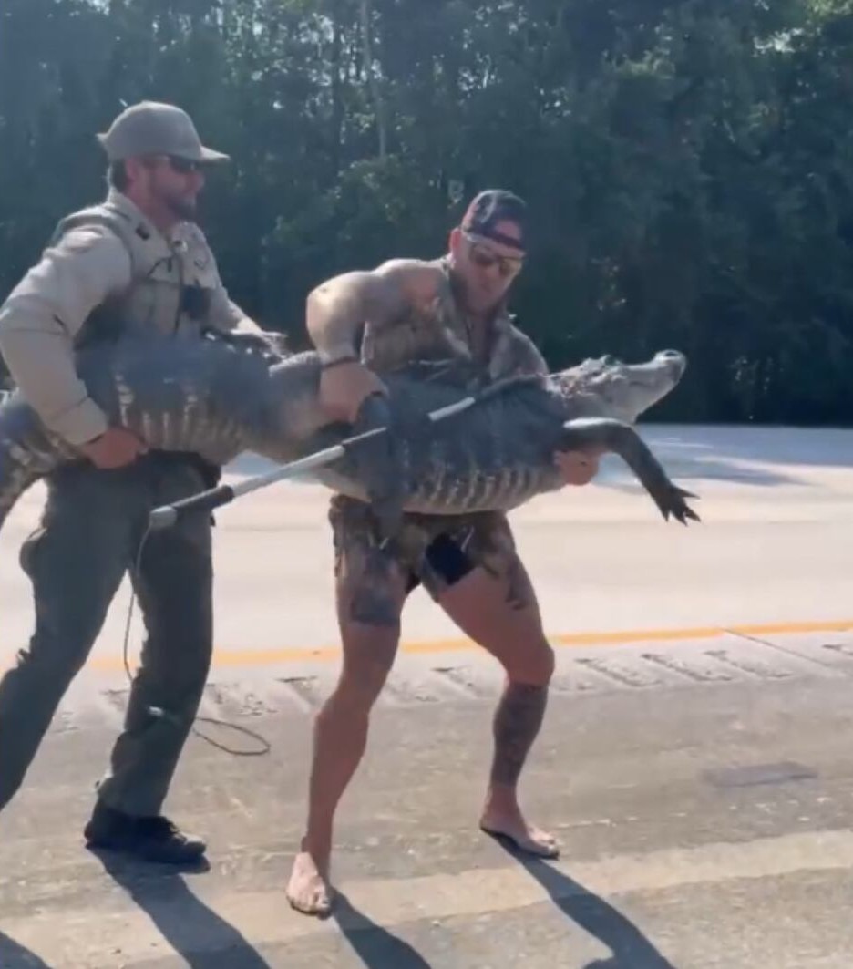 Marine Veteran Mike Dragich, 'Blue Collar Brawler,' Wrestles 300-Pound ...