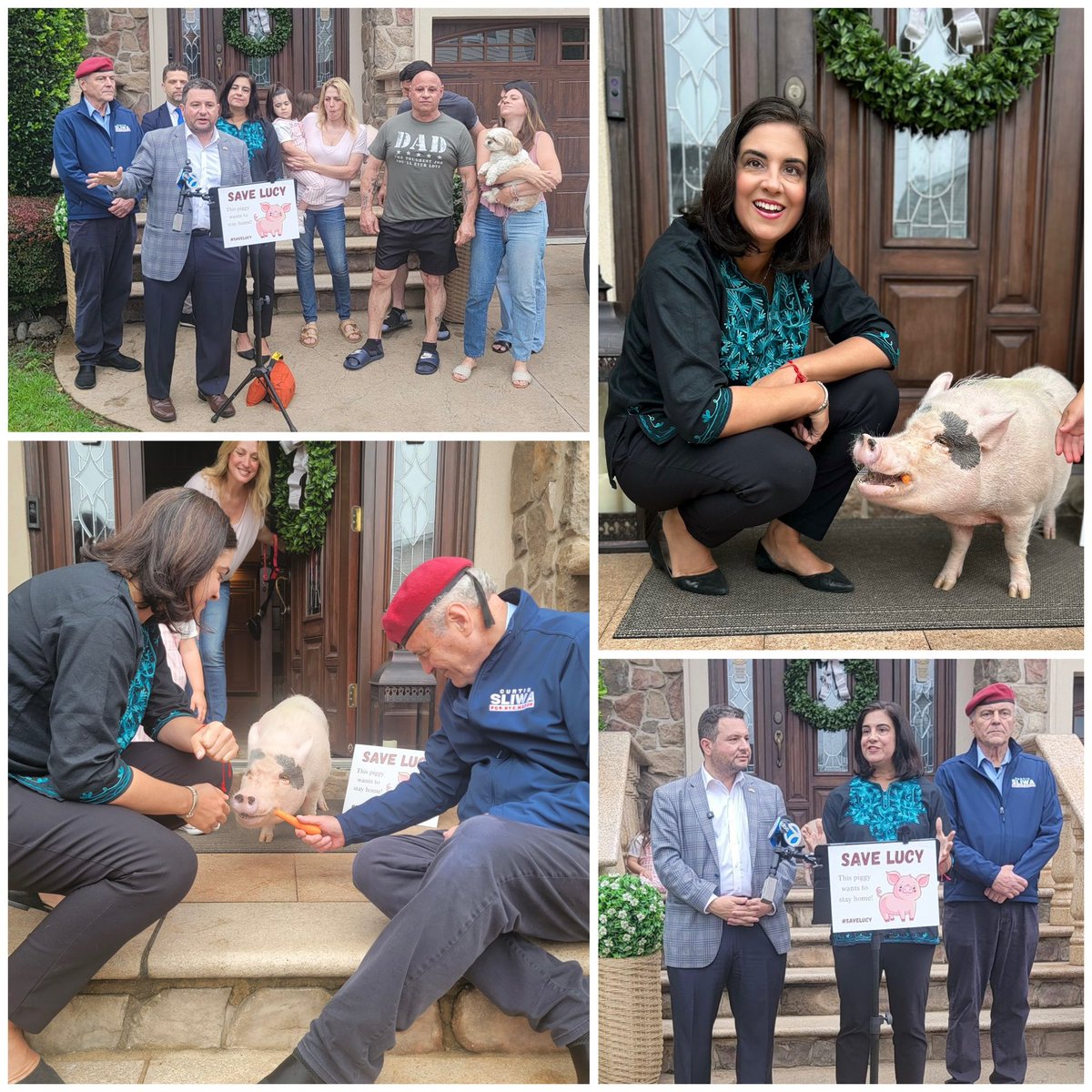 Mayor Adams Allows Emotional Support Pig Lucy to Stay with Gannone ...
