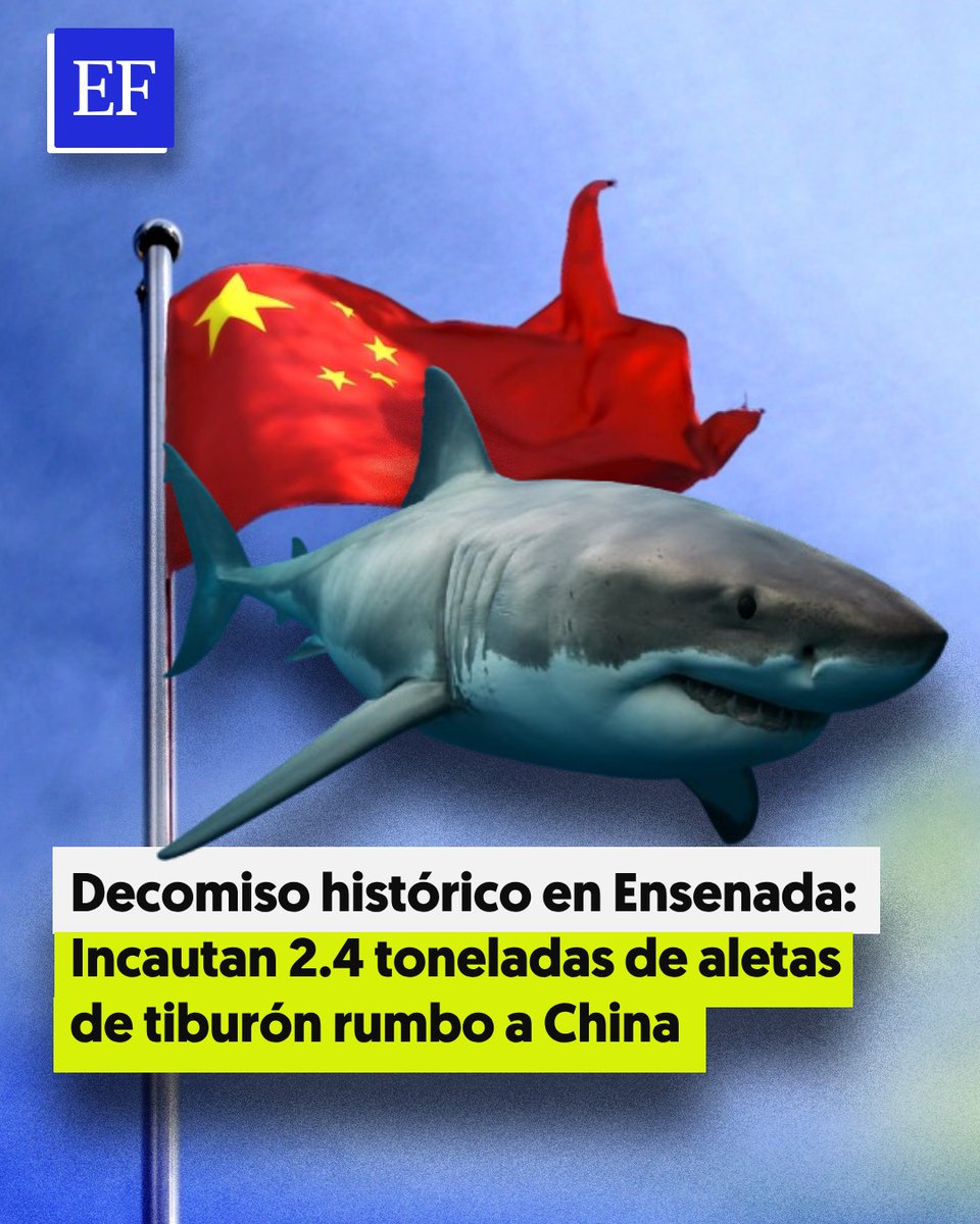 Mexican Authorities in Ensenada Seize Over 2,400 Kilograms of Dried ...