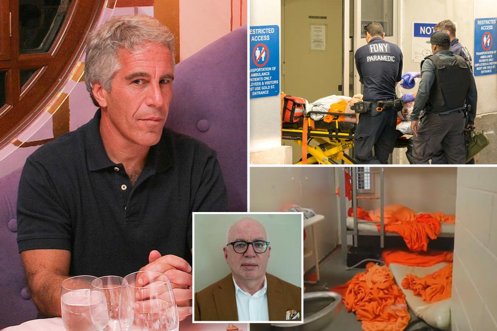 Michael Wolff Reveals Epstein’s Last Message Hours Before 2019 Jail ...