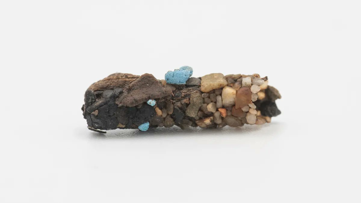 Microplastics Found in Human Organs Including Brain, Blood Vessels ...