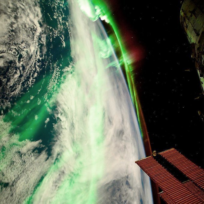 NASA Astronaut Nichole Ayers Captures Rare Northern Lights Over ...