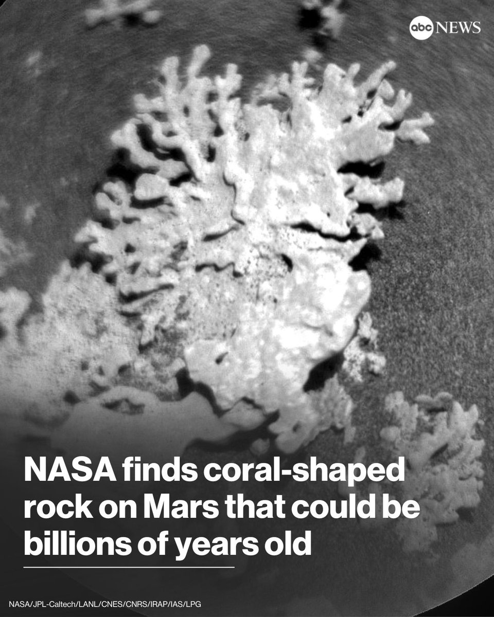 NASA's Curiosity Rover Discovers Several-Billion-Year-Old Coral-Like ...