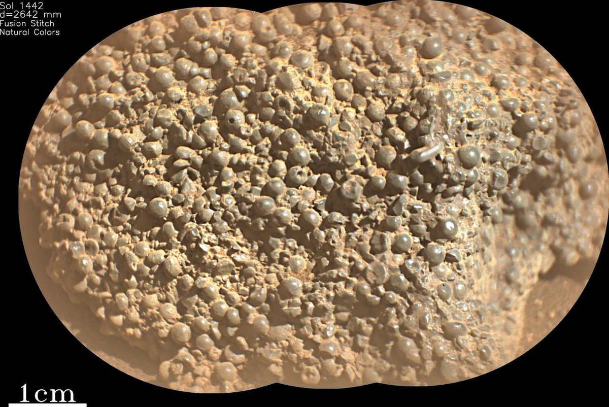 NASA's Perseverance Rover Discovers Unique 'St. Pauls Bay' Rock in ...