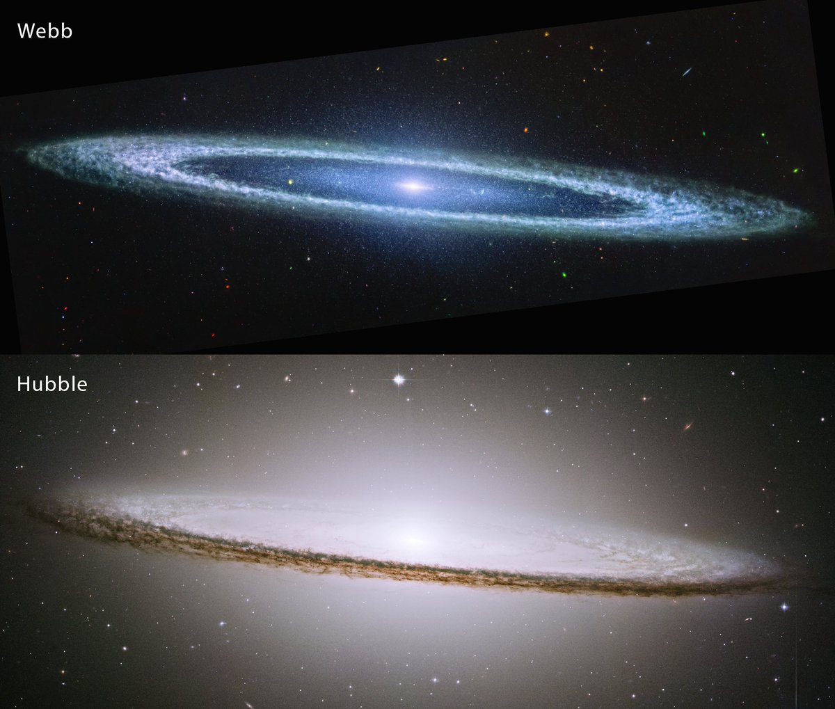 NASA’s Webb and Hubble Capture Einstein Ring, NGC 4449, Jupiter’s Great ...