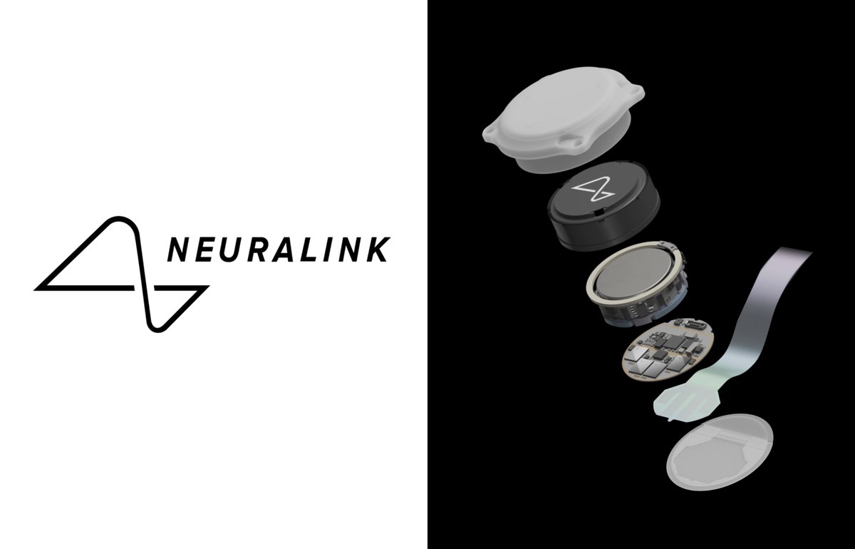 Neuralink, Led by Elon Musk, Plans First Human Implant of Blindsight ...