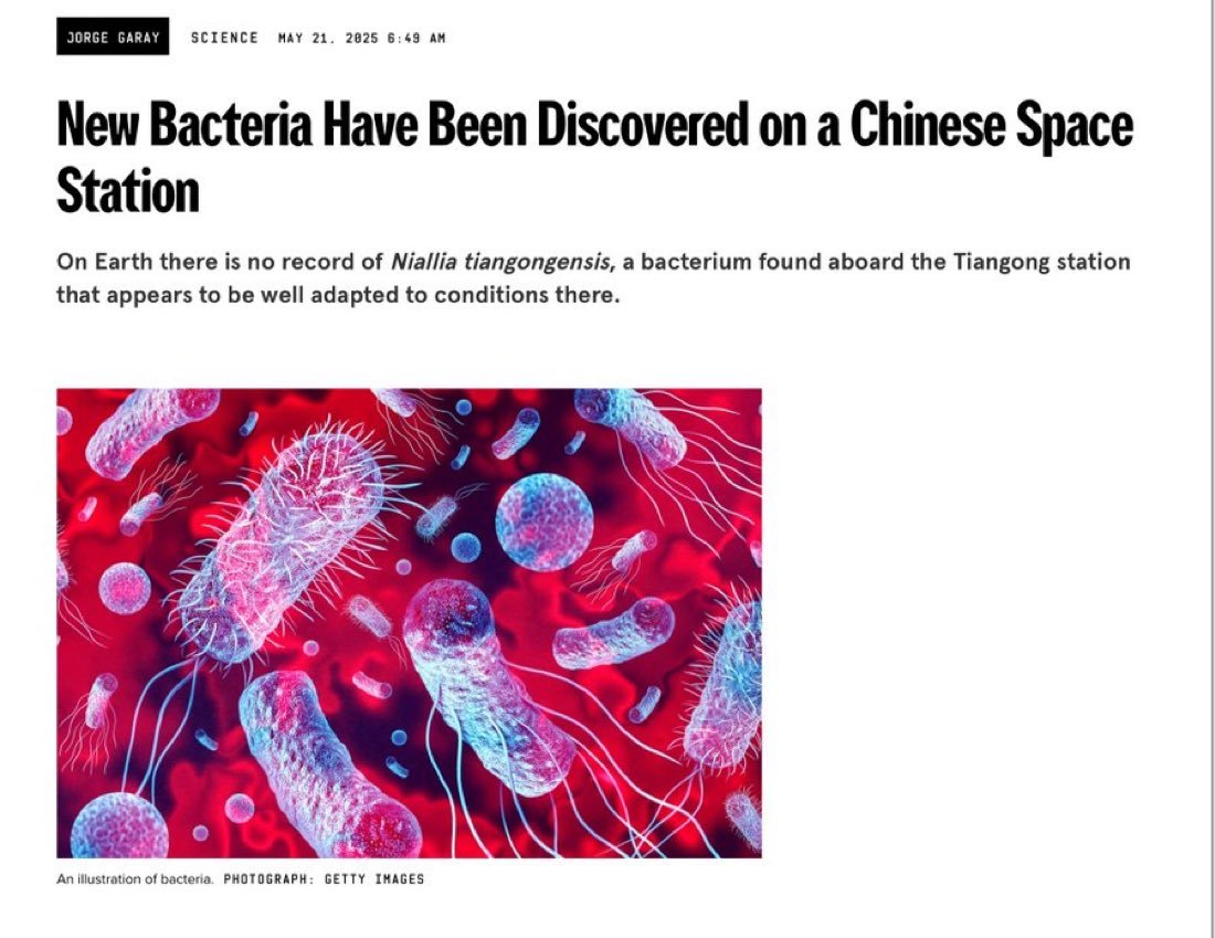 Niallia tiangongensis, Unknown Bacterium, Discovered on China's ...