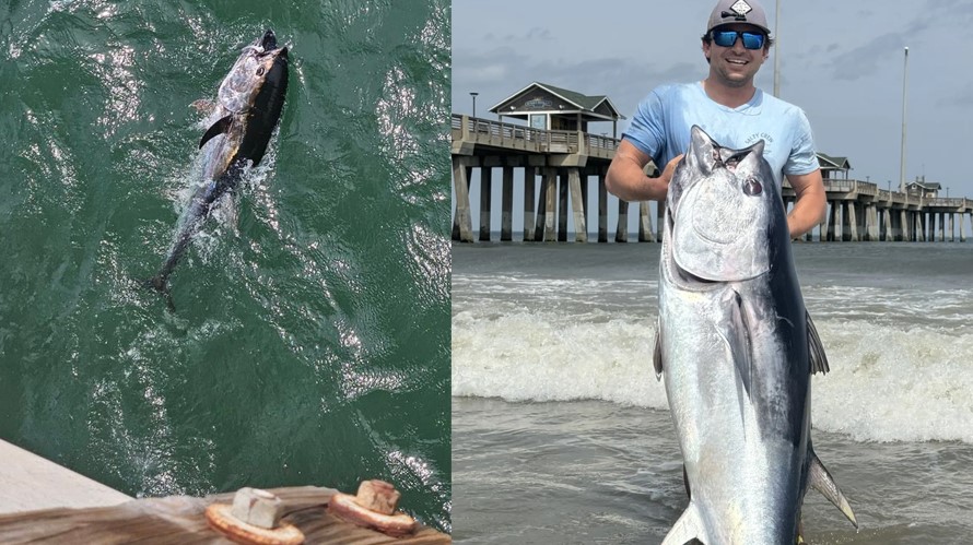 NOAA Officials Halt Bluefin Tuna Fishing at Jennette's Pier, Outer ...