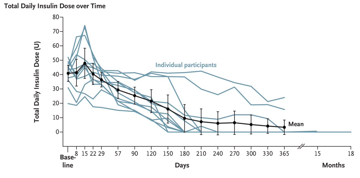 Novo Nordisk Drug Amycretin Triggers 24% Weight Loss in Early Trial ...