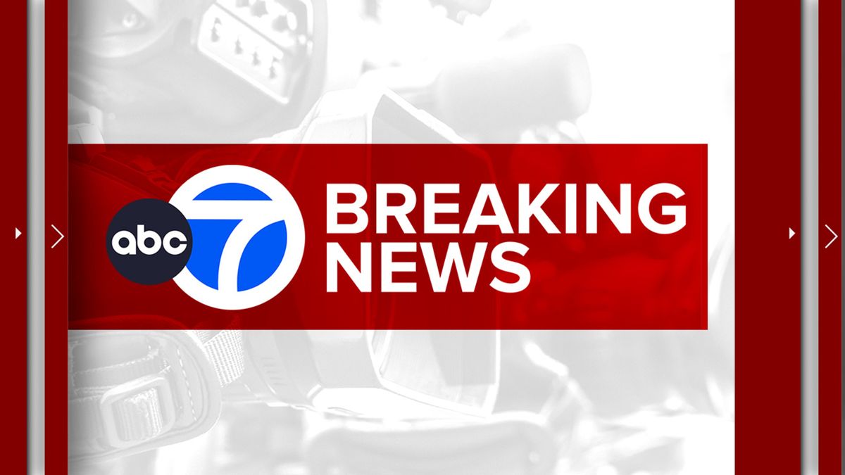 NYC Comptroller, Mayoral Hopeful Brad Lander Arrested by ICE at ...