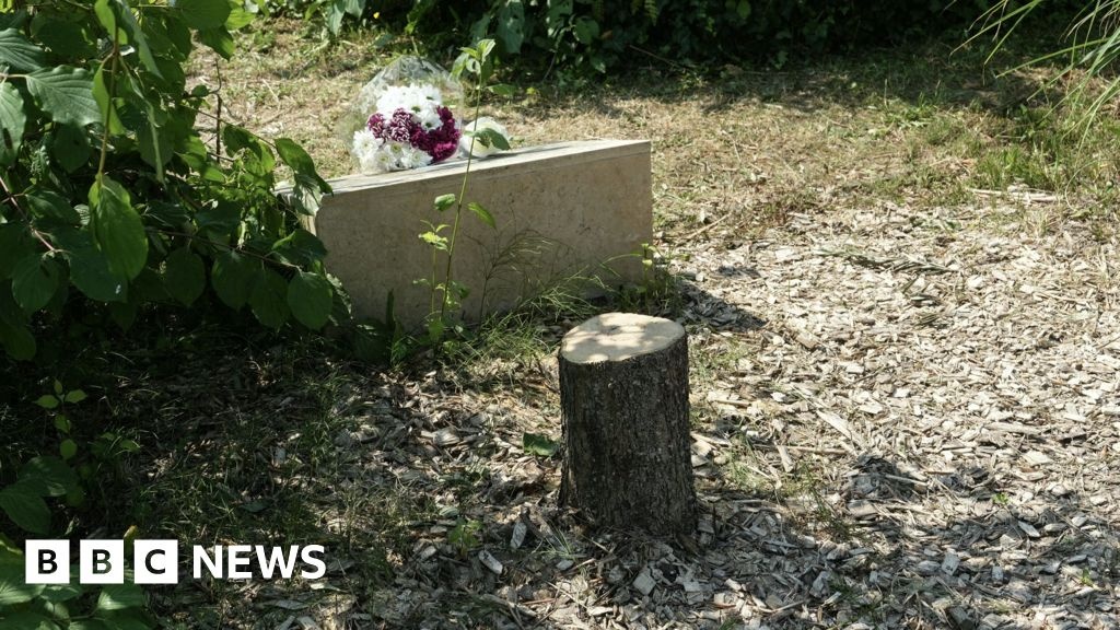 Olive Tree Memorial for Ilan Halimi, Murdered in 2006, Cut Down in ...