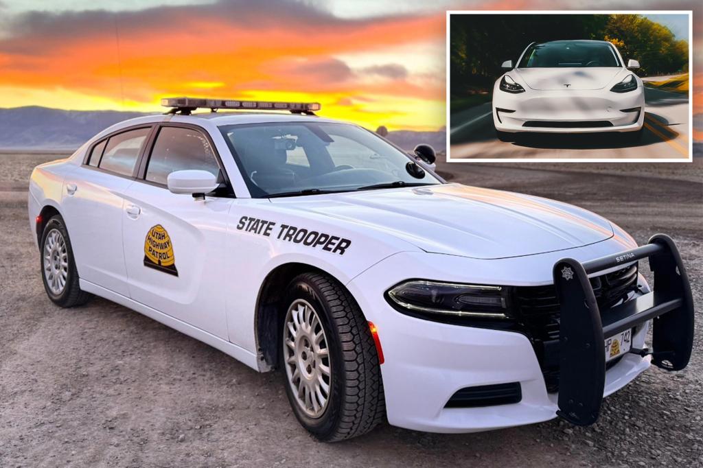 Oscar Fayani Arrested for Attempting to Run Tesla Off I-80 at 120 MPH ...