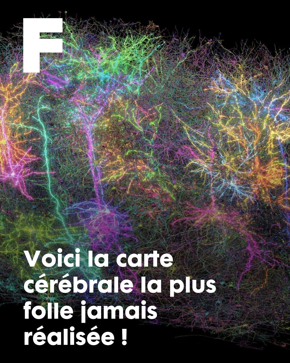 Over 150 Researchers Create Most Detailed 3D Map of Mouse Brain Poppy ...