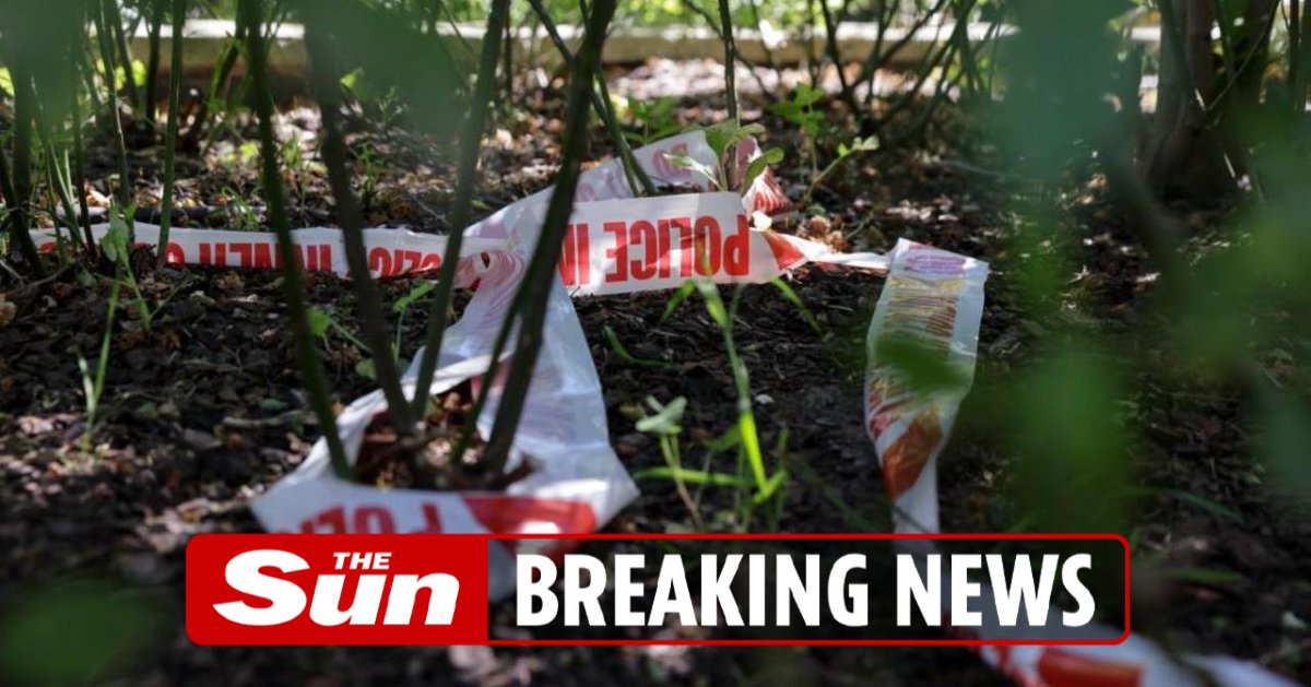 Peter Augustine Charged With Murder and Robbery of 87-Year-Old on ...