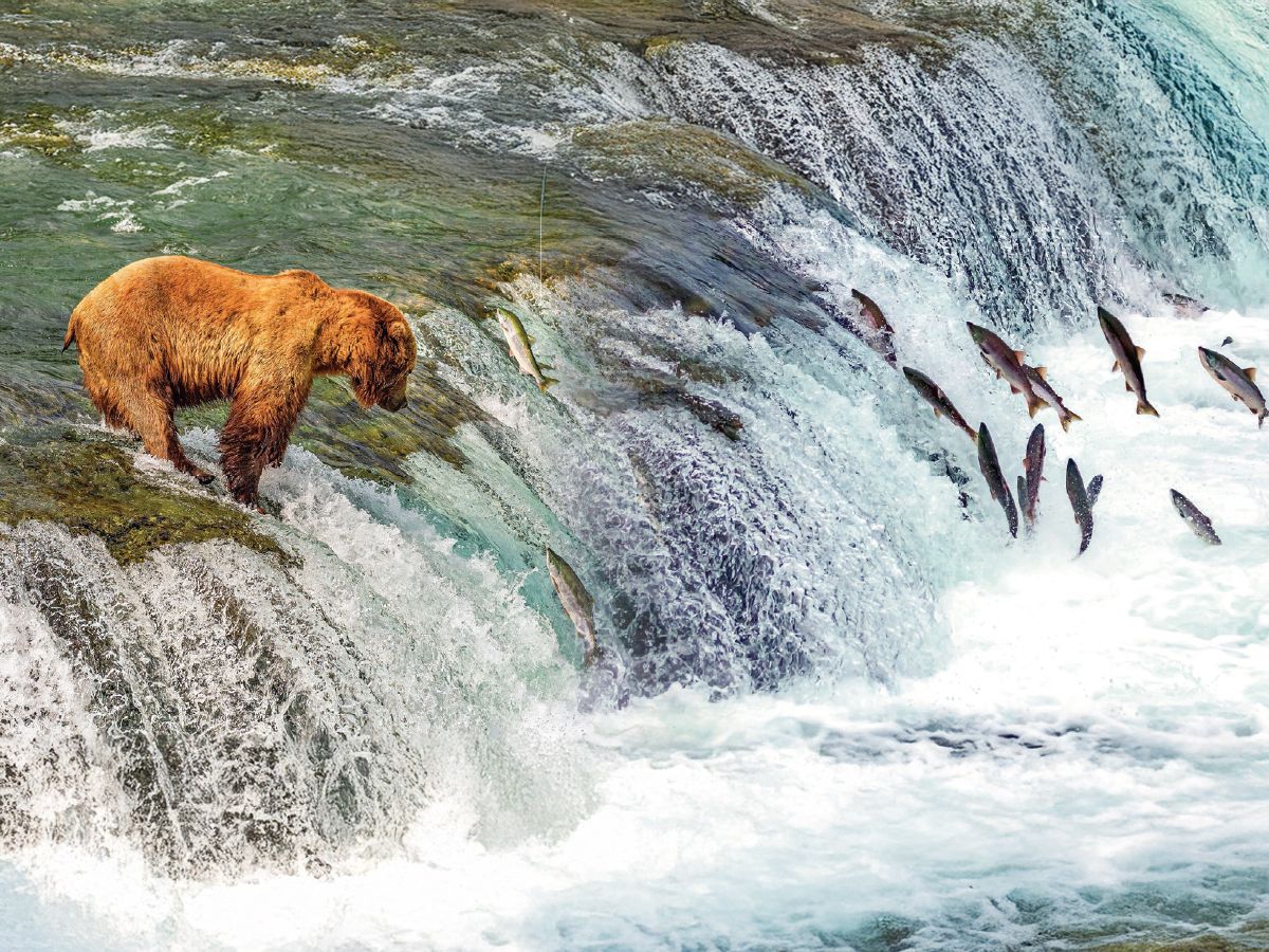 Pharmaceutical Pollution Including Anti-Anxiety Drugs Alters Atlantic ...